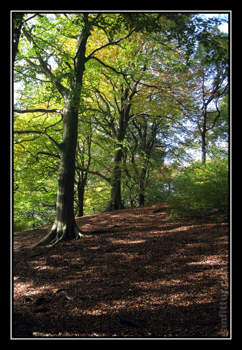 Tenthofjune A Walk Around Anglezarke